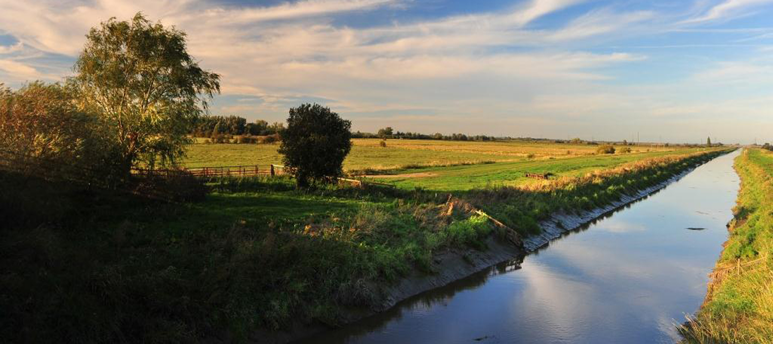 The Fens – Visit West Norfolk